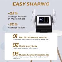 China Weight Loss Instruments Ems Body Sculpting Machine 4pcs Handles for sale