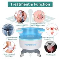 China Pelvic Floor Repair Kegel Exercise Ems Slimming Machine Vaginal Tightening for sale