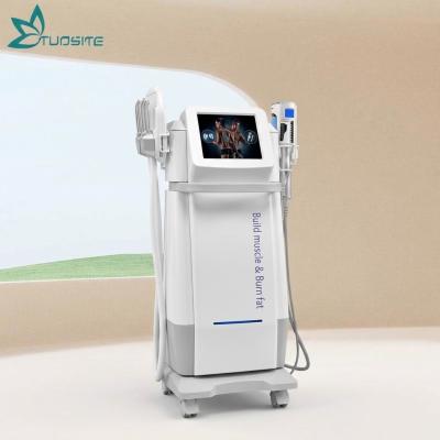 China 2 In 1 Endos Inner Ball Roller EMS Sculpting Machine Body Sculpt Muscle Building for sale