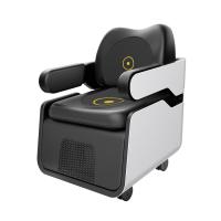 China Dual Magnetic Stimulation EMS Sculpting Machine Pelvic Floor Repair And Back Pain Relief for sale