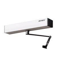 China Horizontal Mount Automatic Gate Opener with Brushless DC Motor for 100kg Swing Gates for sale