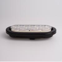 China 6Inch Oval Back-up Lamp 12V 24V Waterproof LED Reverse Lamp for Truck Trailer for sale