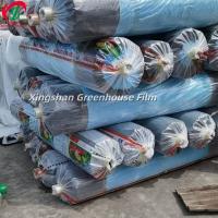 China Anti Drip Plastic PE Greenhouse Film UV Protection For Agriculture for sale