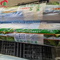 China PE Greenhouse UV Plastic Film Clear Agricultural Plastic Cover Customizable for sale