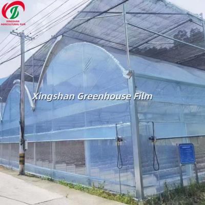 China Anti Drip Anti Aging PE Agricultural Film Clear Greenhouse Plastic Sheeting for sale