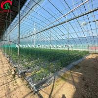 China Five Layer Co Extruded Metallocene PE Film Greenhouse Plastic Polyethylene Film for sale