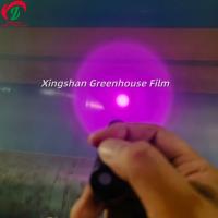 China Weather Resistant UV Stabilized Greenhouse Plastic Film High Light Transmission for sale