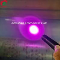 China PE / EVA / PO Greenhouse Plastic UV Resistant Agricultural Greenhouse Film for sale