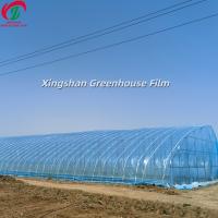 China 5 Layer Co Extrusion PO Greenhouse Film For Commercial Farming for sale