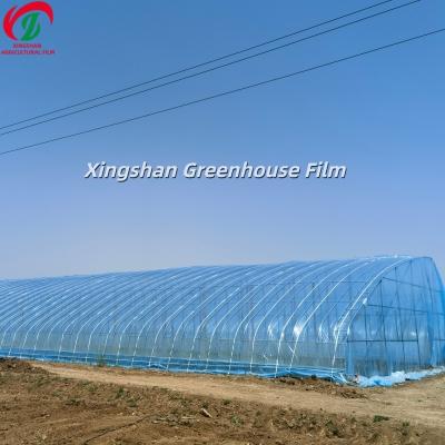 China 5 Layer Co Extrusion PO Greenhouse Film For Commercial Farming for sale