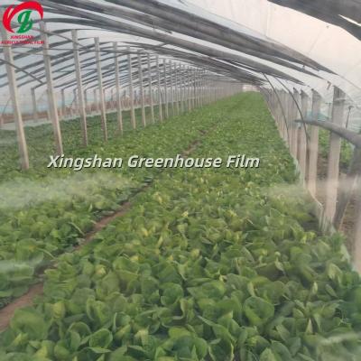 China Greenhouse PO Polyolefin Film 120 Micron Anti Drip Anti Fog Plastic Greenhouse Cover for sale