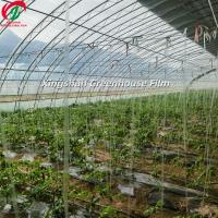 China Diffuse Light Green House Film Anti Drip Anti Fog Agricultural Greenhouse Cover Film for sale