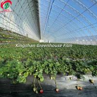 China Dual Light Conversion PO Polyolefin Film Anti Fog Anti Drip Agricultural Greenhouse Film for sale