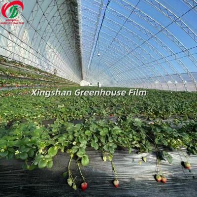 China Dual Light Conversion PO Polyolefin Film Anti Fog Anti Drip Agricultural Greenhouse Film for sale