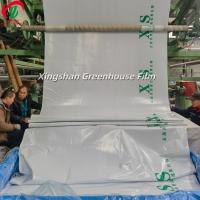 China Agricultural Greenhouse Blackout Film Black And White Plastic Film For Crop Protection for sale