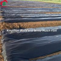 China PE Polyethylene Agriculture Mulching Sheet Black White Plastic Ground Cover Film for sale