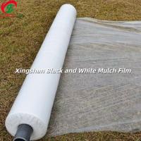 China PE Polyethylene Agriculture Mulching Sheet Black White Plastic Ground Cover Film for sale