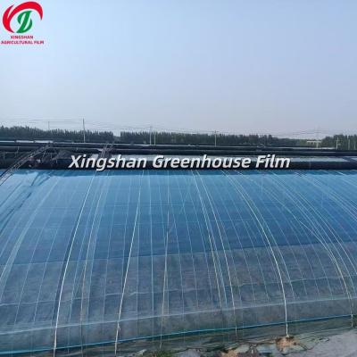 China Five Layer Co Extruded EVA PO Film Greenhouse Film For Agriculture for sale