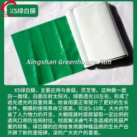 China Green White Cooling Greenhouse Blackout Film PE / PO UV Protection Agricultural Film for sale