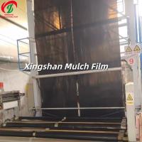 China Silver On Black Agricultural Mulch Film Biodegradable Plastic Ground Cover To Kill Weeds for sale
