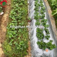 China LDPE / LLDPE / HDPE Agricultural Mulch Film Weed Control Film for sale