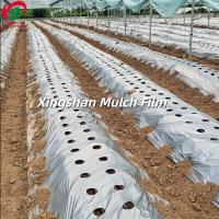 China Pre Punched Agricultural Mulch Film LDPE / LLDPE / HDPE Perforated Black Plastic Mulch for sale