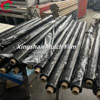 China Black Biodegradable Plastic Mulch Film Puncture Resistant For Weed Suppressing for sale