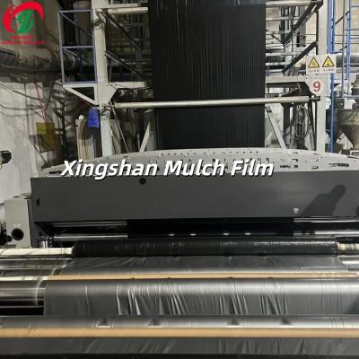China Black Biodegradable Plastic Mulch Film Puncture Resistant For Weed Suppressing for sale