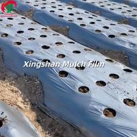 China Perforated Agricultural Mulch Film Plastic Mulch Film Biodegradable Puncture Resistance for sale