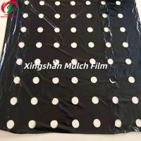 China Perforated Agricultural Mulch Film Plastic Mulch Film Biodegradable Puncture Resistance for sale