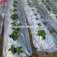 China Pre Punched Agricultural Mulch Film LDPE / LLDPE / HDPE Perforated Black Plastic Mulch for sale