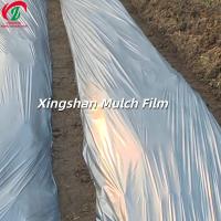 China Silver On Black Agricultural Mulch Film Biodegradable Plastic Ground Cover To Kill Weeds for sale