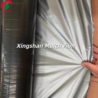 China Biodegradable Mulching Sheet Weed Barrier Sustainable Plastic Mulching In Agriculture for sale