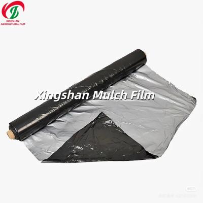 China Plastic Silver Black Mulch Film Reflective Insect Repellent Bio Mulch Film for sale