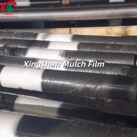 China Black Biodegradable Plastic Mulch Film Puncture Resistant For Weed Suppressing for sale