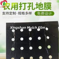 China Perforated Agricultural Mulch Film Plastic Mulch Film Biodegradable Puncture Resistance for sale