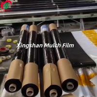 China Plastic Silver Black Mulch Film Reflective Insect Repellent Bio Mulch Film for sale