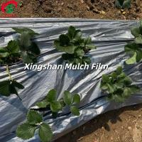 China Water Saving Agricultural Mulch Film 0.3m - 4.0m Polyethylene Mulch Film for sale