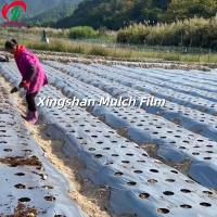 China Water Saving Agricultural Mulch Film 0.3m - 4.0m Polyethylene Mulch Film for sale
