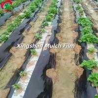 China Water Saving Agricultural Mulch Film 0.3m - 4.0m Polyethylene Mulch Film for sale