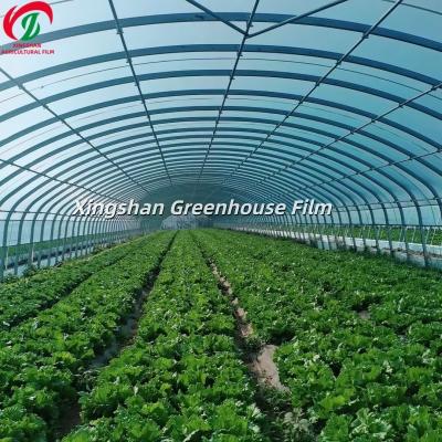 China 5 Layer Co Extruded Greenhouse Plastic UV Resistant Aging Resistant Agricultural Film for sale