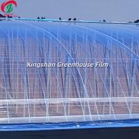 China Weather Resistant UV Stabilized Greenhouse Plastic Film High Light Transmission for sale