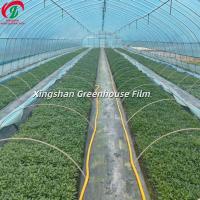 China Agricultural Greenhouse Plastic UV Resistant Film 80 - 250μm Thickness for sale