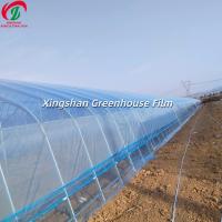 China Long Lasting Agricultural Anti UV Plastic Sheet UV Stabilized Greenhouse Plastic Film for sale