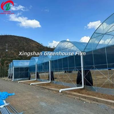 China Weather Resistant UV Stabilized Greenhouse Plastic Film High Light Transmission for sale