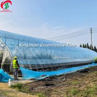 China Agricultural Light Diffusion Greenhouse Film UV Stabilized Greenhouse Plastic Film for sale