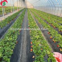 China Agricultural Light Diffusion Greenhouse Film UV Stabilized Greenhouse Plastic Film for sale