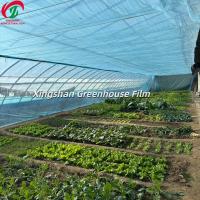 China UV Stabilized PO Greenhouse Film Anti Drip Agricultural Plastic Cover for sale