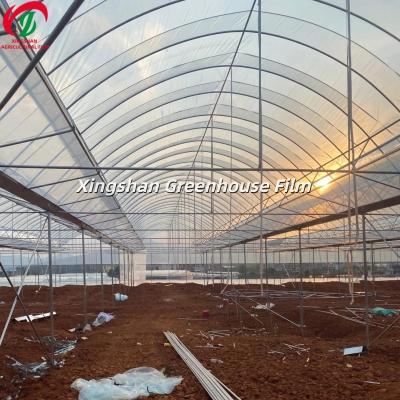 China China PO Greenhouse Film Plastic Film Factory 5-Layer Co-Extruded Film for sale
