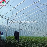 China UV Stabilized PO Greenhouse Film Long-Life Agricultural Plastic Film for sale
